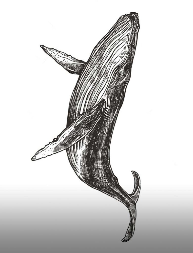 Compact Posts – Elipsa